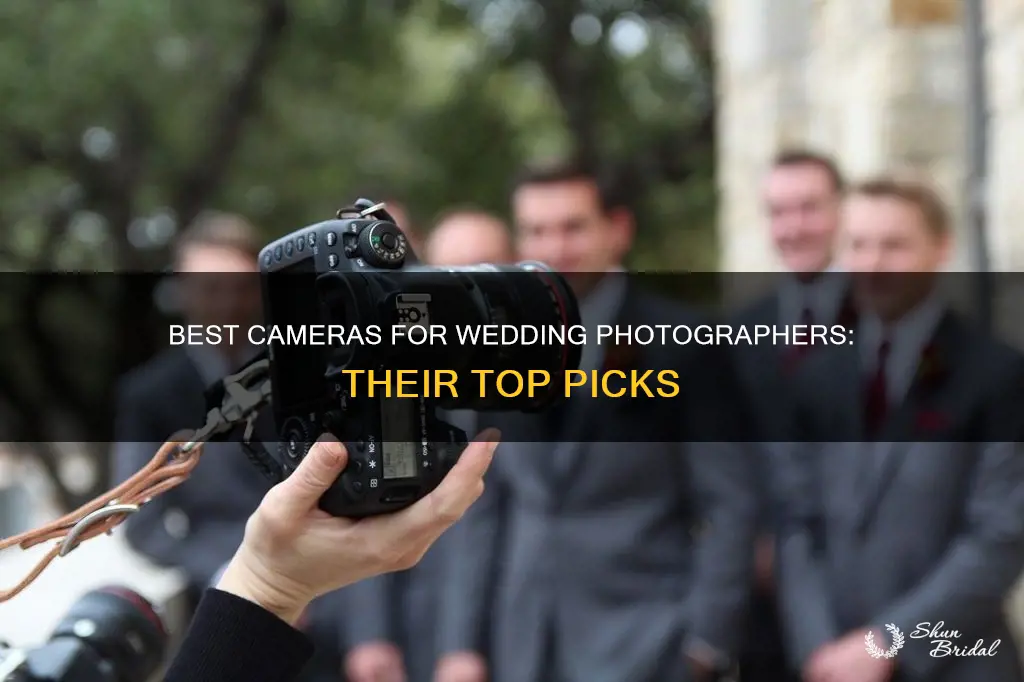 Best Cameras For Wedding Photographers: Their Top Picks | ShunBridal