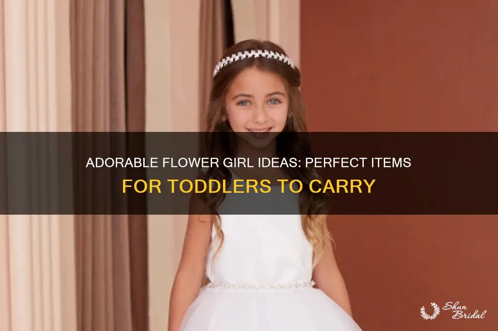 Adorable Flower Girl Ideas: Perfect Items For Toddlers To Carry ...