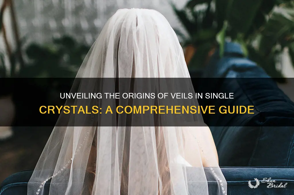 Unveiling The Origins Of Veils In Single Crystals: A Comprehensive ...