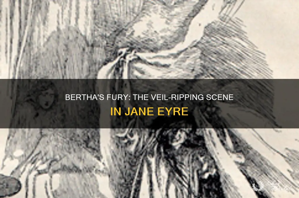 Bertha's Fury: The Veil-Ripping Scene In Jane Eyre | ShunBridal