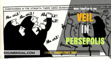 The Veil In Persepolis: Chapter Location And Significance Explained ...
