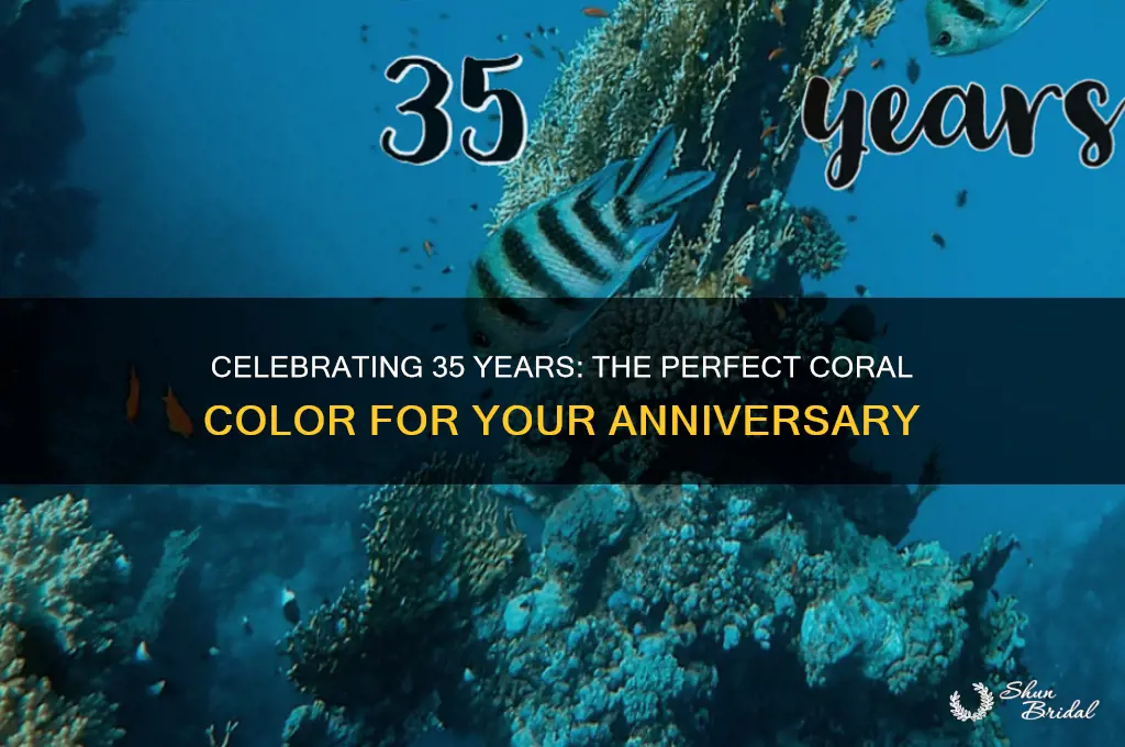 Celebrating 35 Years: The Perfect Coral Color For Your Anniversary ...