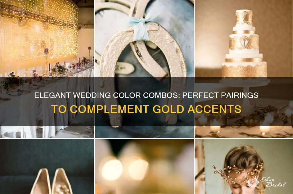 Elegant Wedding Color Combos: Perfect Pairings To Complement Gold ...