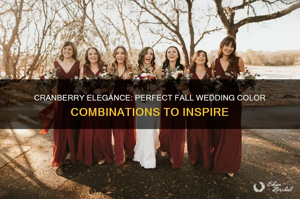 Cranberry Elegance: Perfect Fall Wedding Color Combinations To Inspire ...