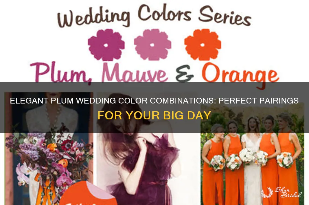 Elegant Plum Wedding Color Combinations: Perfect Pairings For Your Big ...