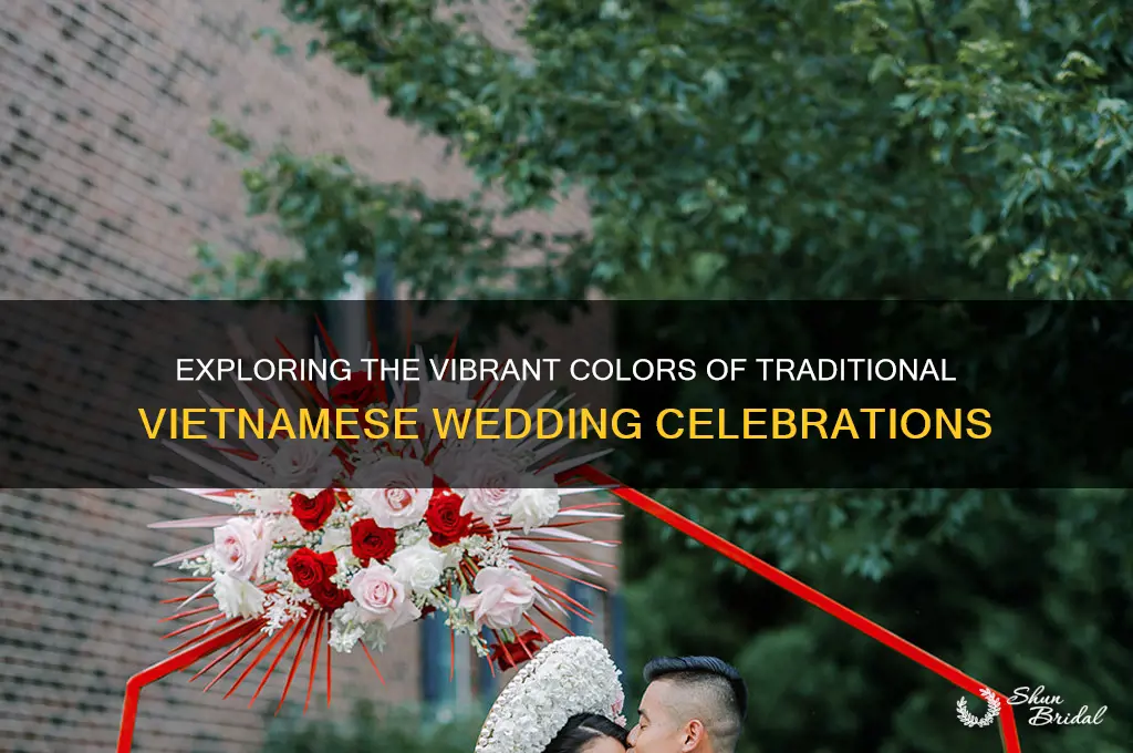 Exploring The Vibrant Colors Of Traditional Vietnamese Wedding ...
