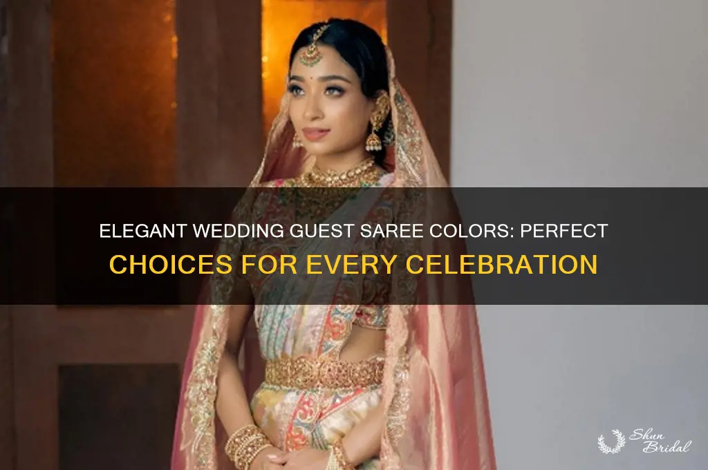 Elegant Wedding Guest Saree Colors: Perfect Choices For Every ...