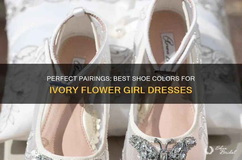 Perfect Pairings: Best Shoe Colors For Ivory Flower Girl Dresses ...