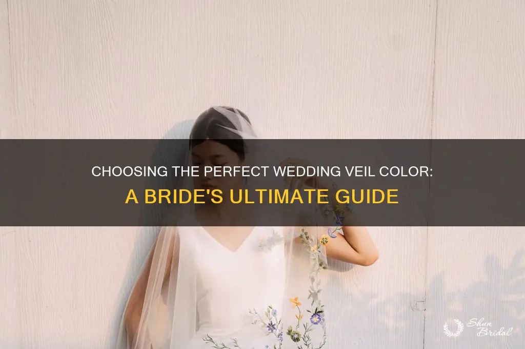Choosing The Perfect Wedding Veil Color: A Bride's Ultimate Guide ...