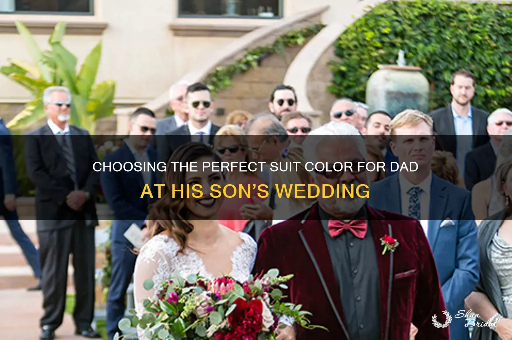 Choosing The Perfect Suit Color For Dad At His Son’S Wedding | ShunBridal