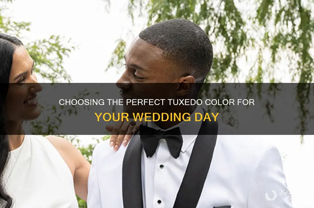 Choosing The Perfect Tuxedo Color For Your Wedding Day | ShunBridal