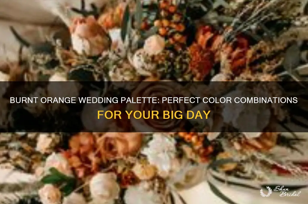 Burnt Orange Wedding Palette: Perfect Color Combinations For Your Big ...