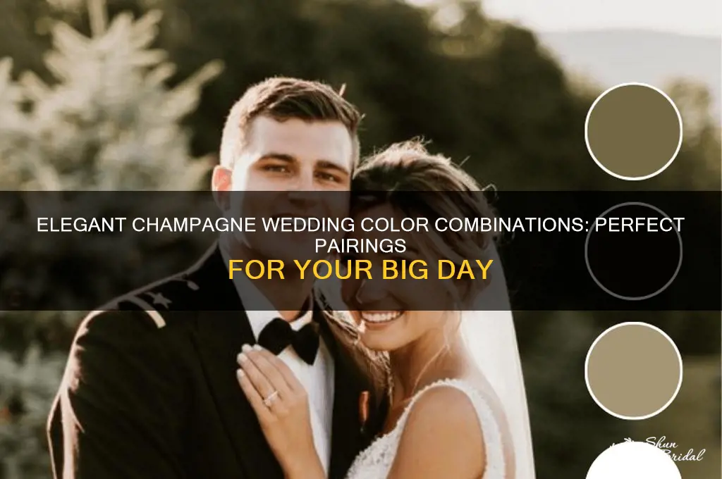 Elegant Champagne Wedding Color Combinations: Perfect Pairings For Your ...