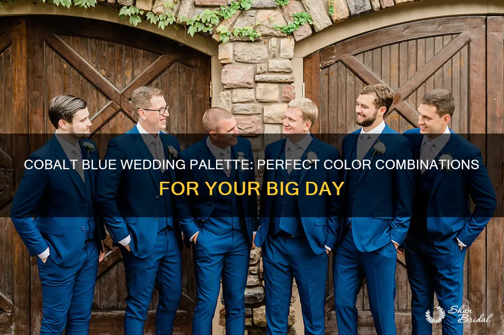 Cobalt Blue Wedding Palette: Perfect Color Combinations For Your Big ...