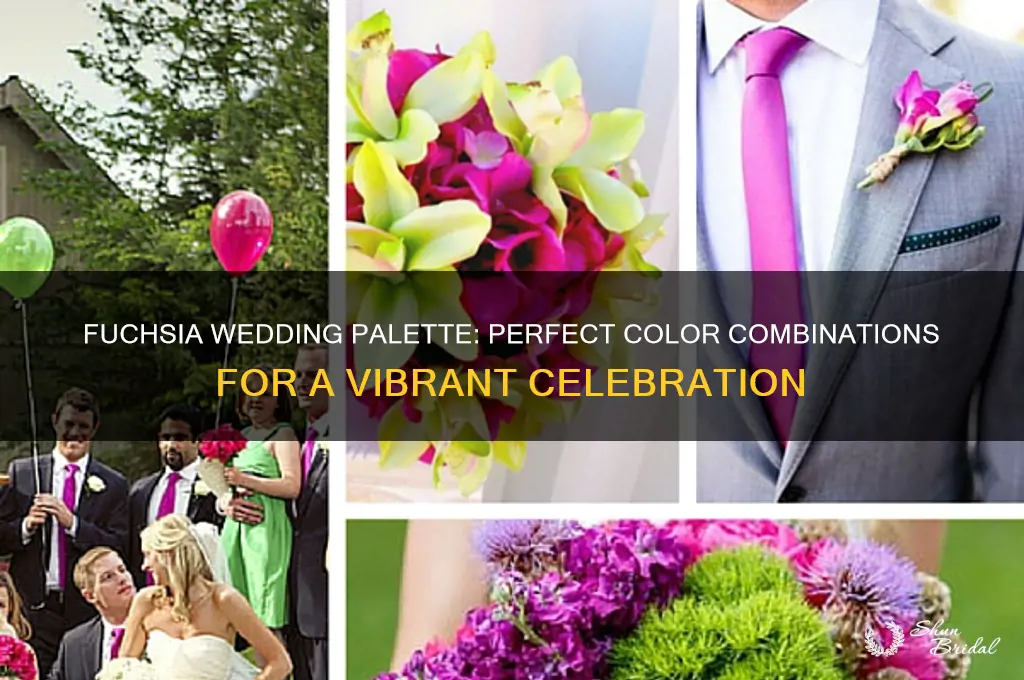 Fuchsia Wedding Palette: Perfect Color Combinations For A Vibrant ...