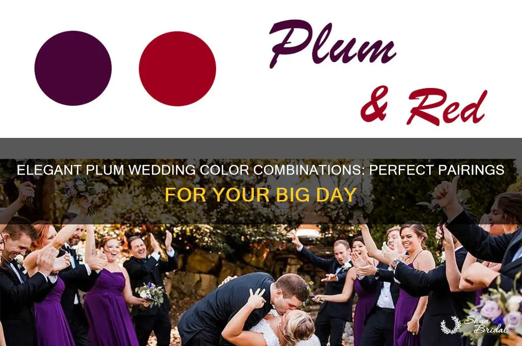 Elegant Plum Wedding Color Combinations: Perfect Pairings For Your Big ...