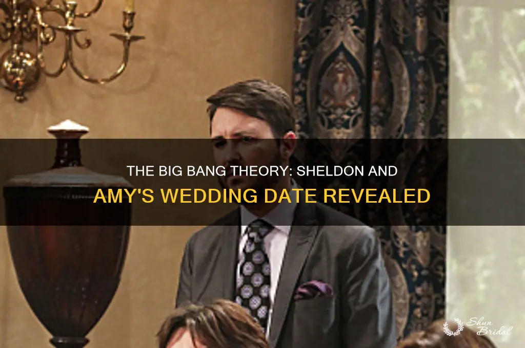 The Big Bang Theory: Sheldon And Amy's Wedding Date Revealed | ShunBridal