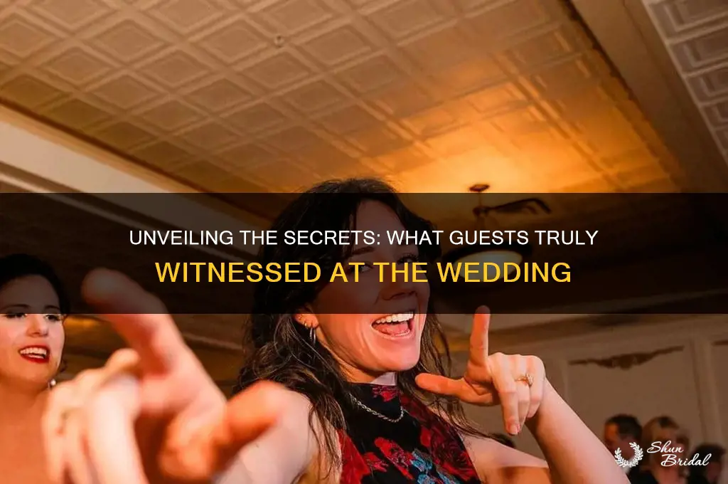 Unveiling The Secrets: What Guests Truly Witnessed At The Wedding ...