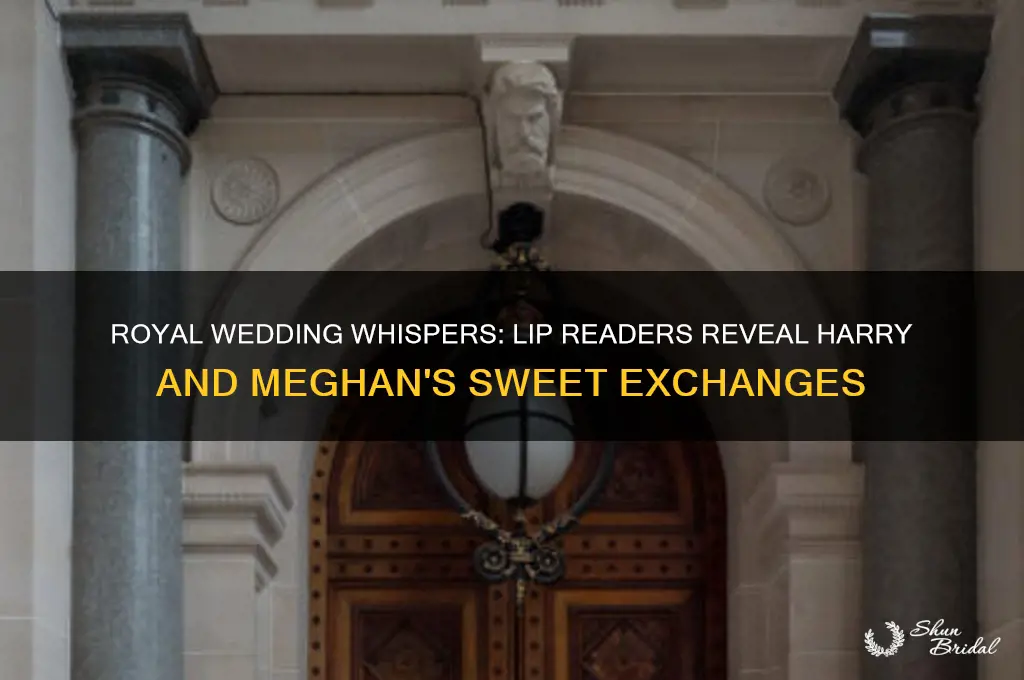Royal Wedding Whispers: Lip Readers Reveal Harry And Meghan's Sweet ...