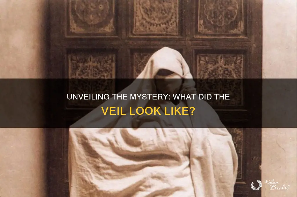 Unveiling The Mystery: What Did The Veil Look Like? | ShunBridal