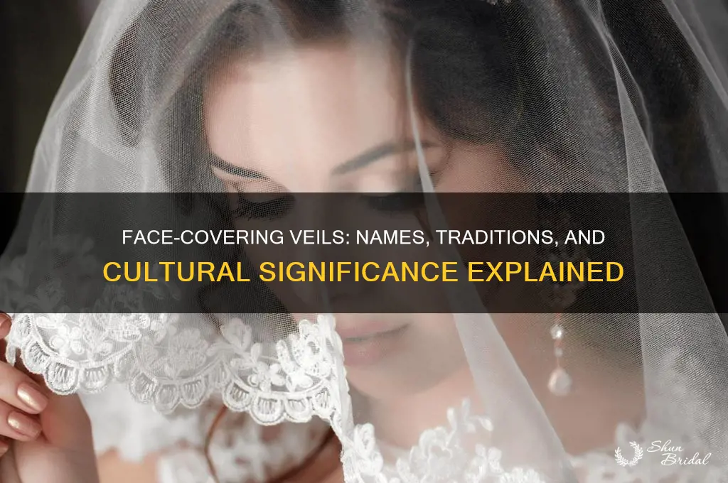 Face-Covering Veils: Names, Traditions, And Cultural Significance ...