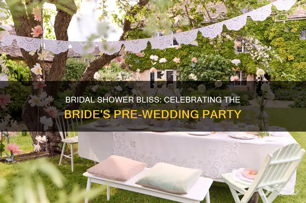 Bridal Shower Bliss: Celebrating The Bride's Pre-Wedding Party | ShunBridal