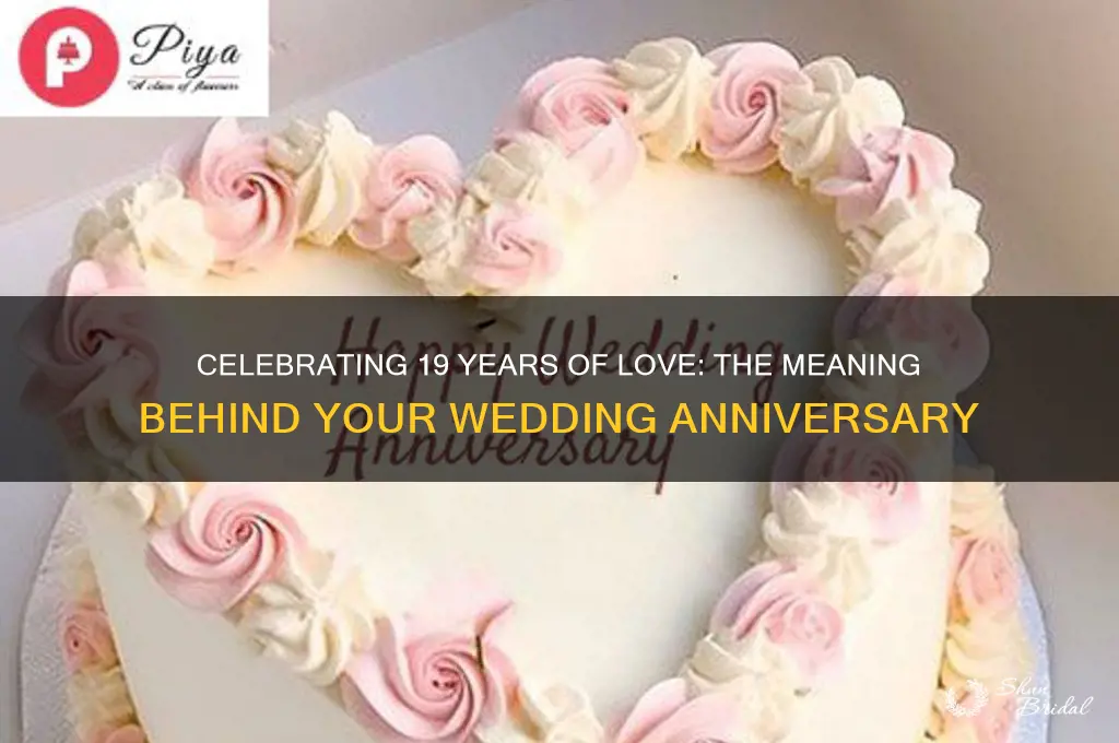 Celebrating 19 Years Of Love: The Meaning Behind Your Wedding ...