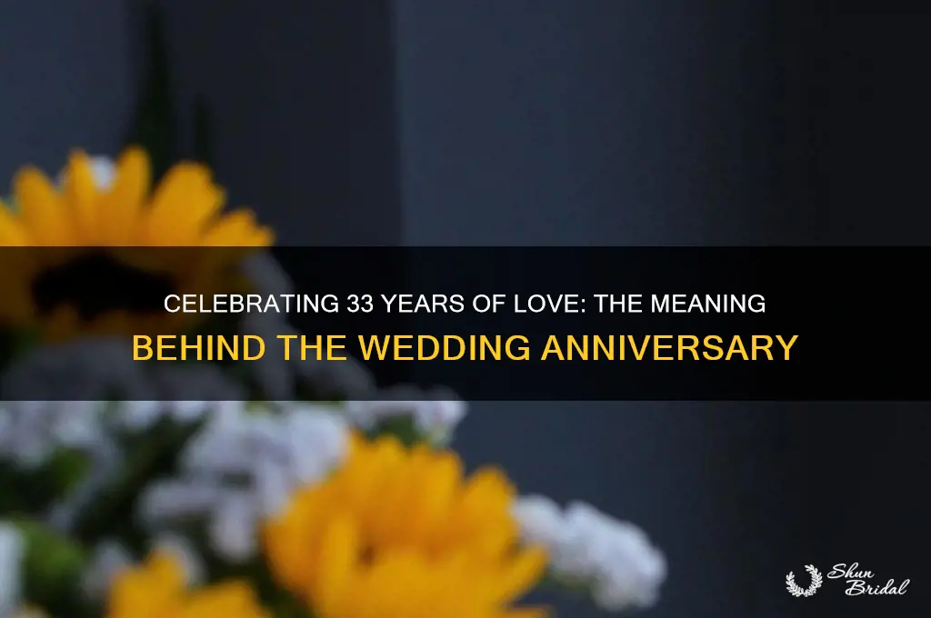 Celebrating 33 Years Of Love: The Meaning Behind The Wedding ...