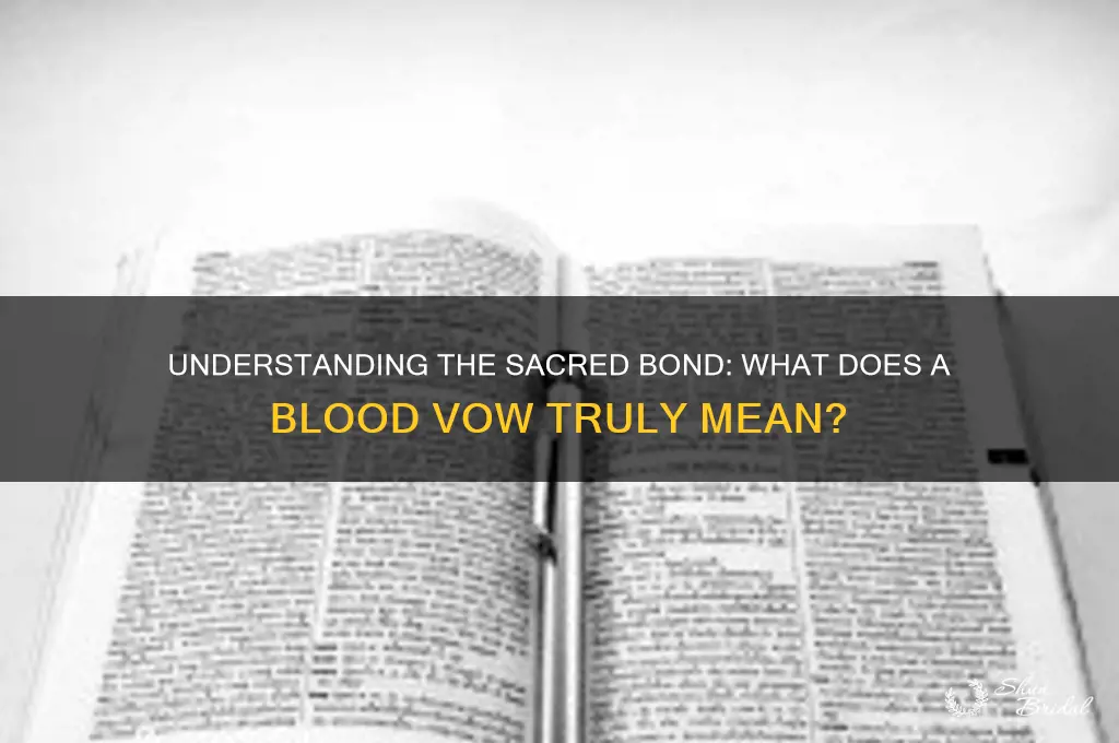 Understanding The Sacred Bond: What Does A Blood Vow Truly Mean ...