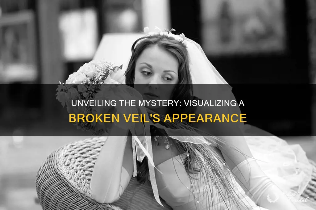 Unveiling The Mystery: Visualizing A Broken Veil's Appearance | ShunBridal