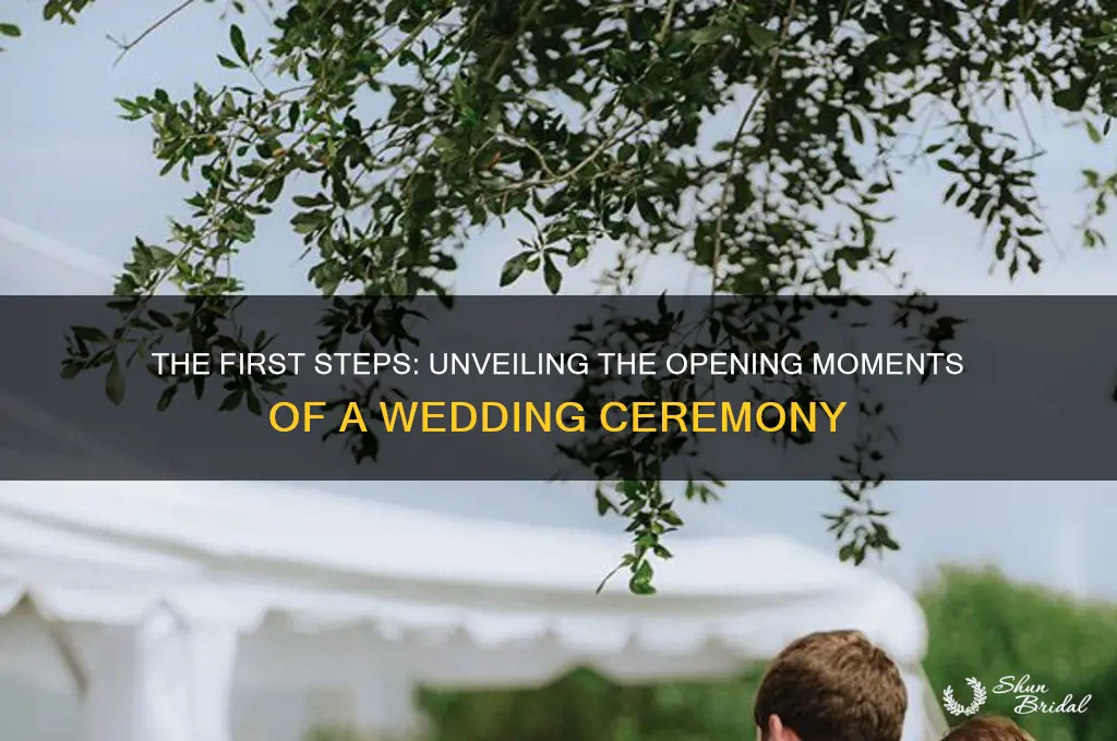 The First Steps: Unveiling The Opening Moments Of A Wedding Ceremony ...