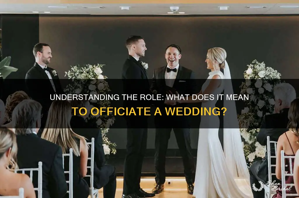 Understanding The Role: What Does It Mean To Officiate A Wedding ...