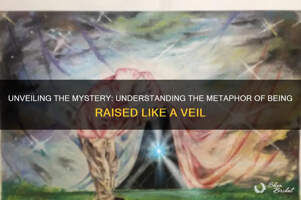 Unveiling The Mystery: Understanding The Metaphor Of Being Raised Like ...