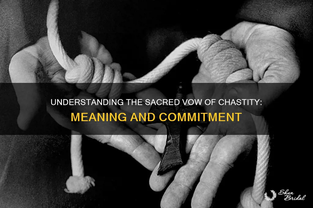 Understanding The Sacred Vow Of Chastity: Meaning And Commitment ...