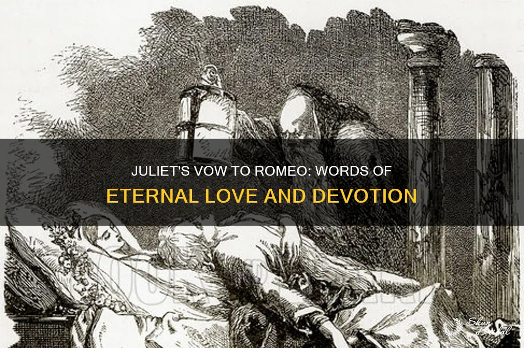 Juliet's Vow To Romeo: Words Of Eternal Love And Devotion | ShunBridal