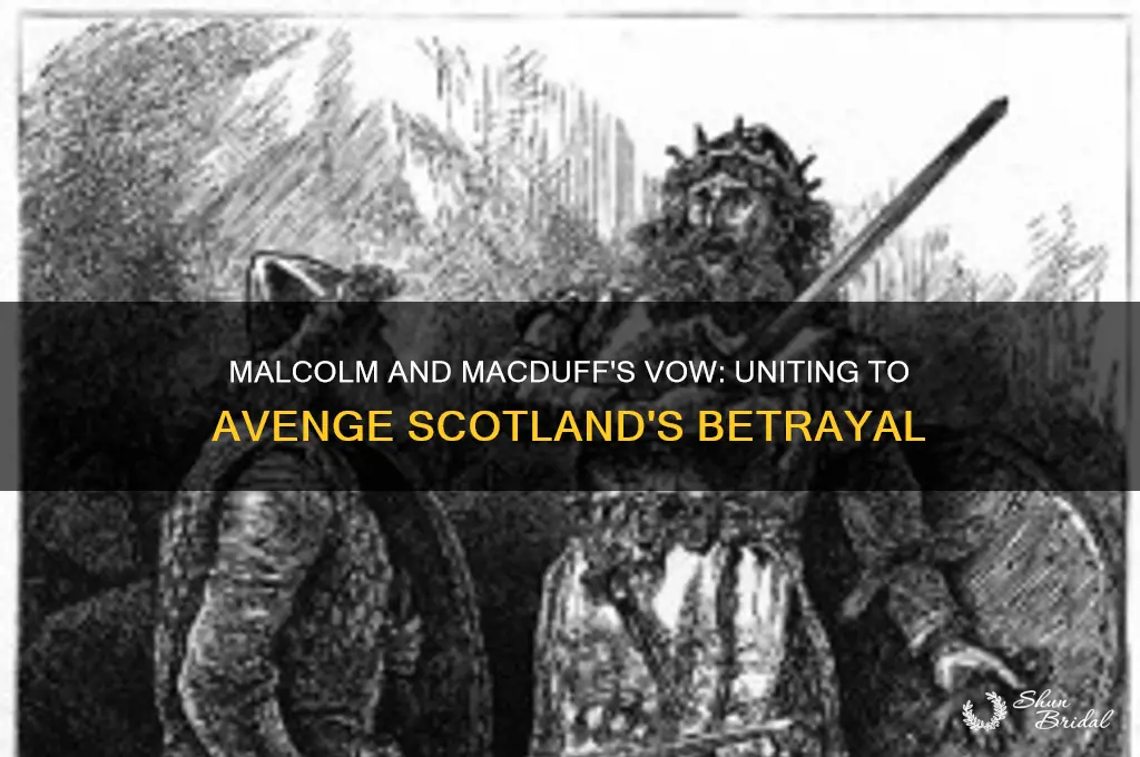 Malcolm And Macduff's Vow: Uniting To Avenge Scotland's Betrayal ...