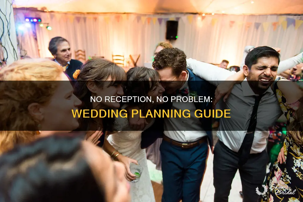 No Reception, No Problem: Wedding Planning Guide | ShunBridal