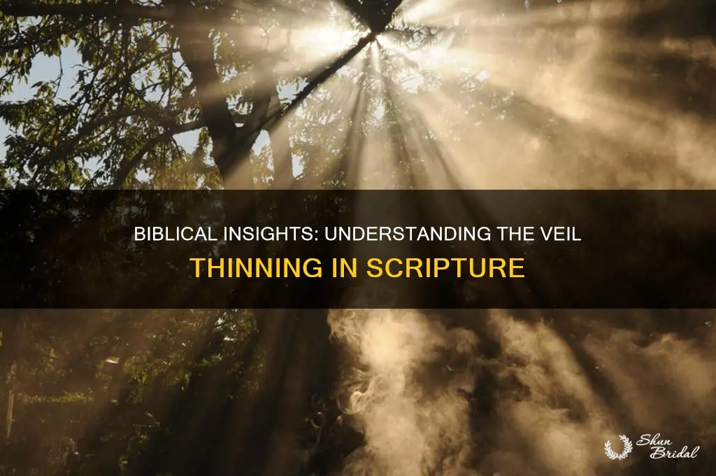 Biblical Insights: Understanding The Veil Thinning In Scripture ...