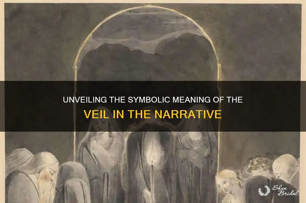 Unveiling The Symbolic Meaning Of The Veil In The Narrative | ShunBridal