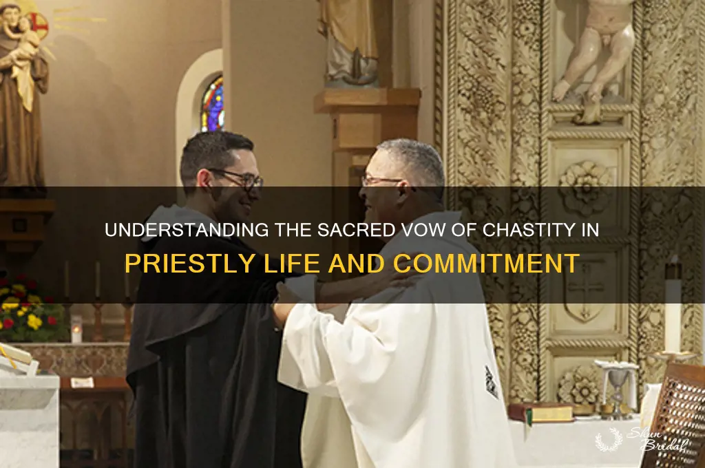 Understanding The Sacred Vow Of Chastity In Priestly Life And ...