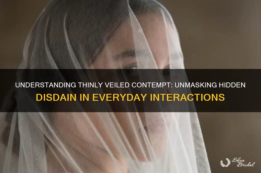 Understanding Thinly Veiled Contempt: Unmasking Hidden Disdain In ...