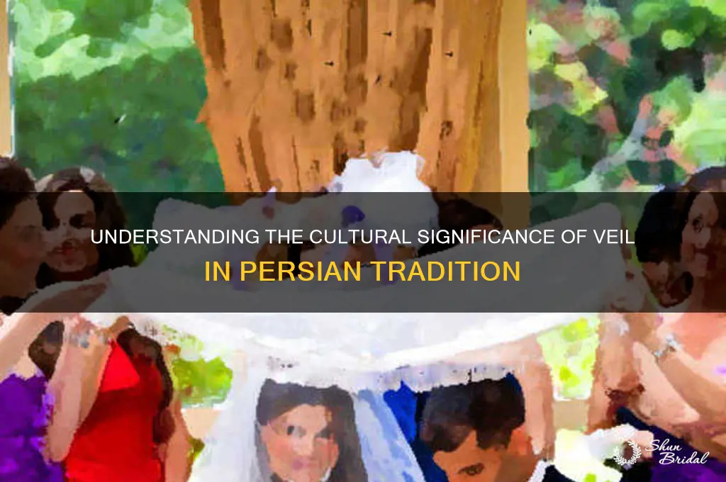 Understanding The Cultural Significance Of Veil In Persian Tradition ...