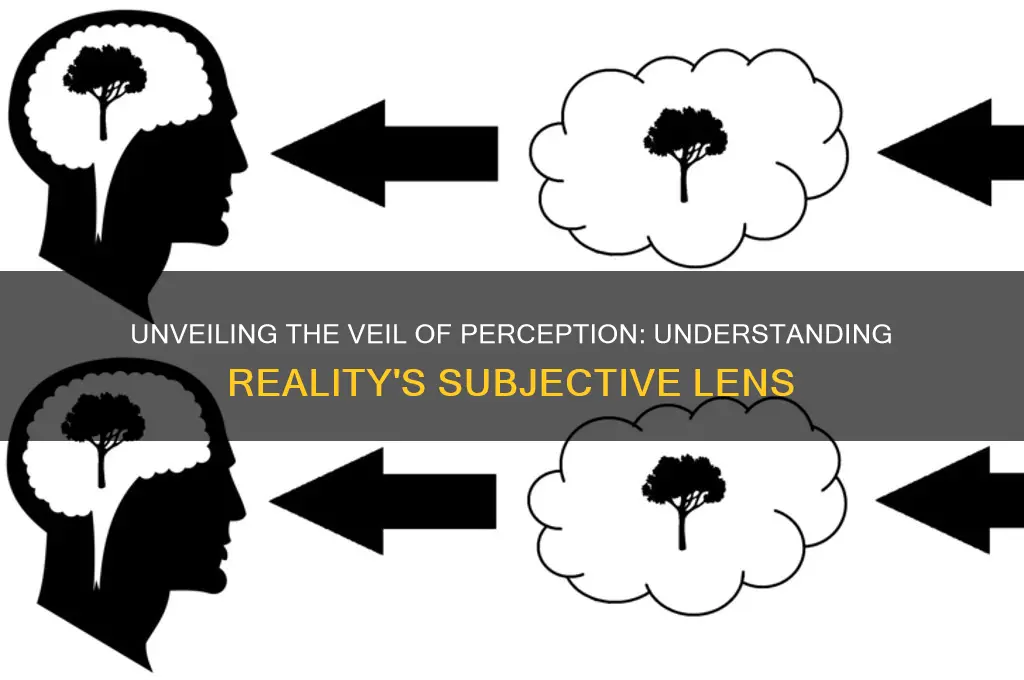 Unveiling The Veil Of Perception: Understanding Reality's Subjective ...