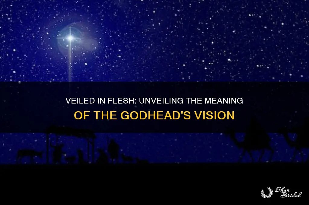 Veiled In Flesh: Unveiling The Meaning Of The Godhead's Vision | ShunBridal