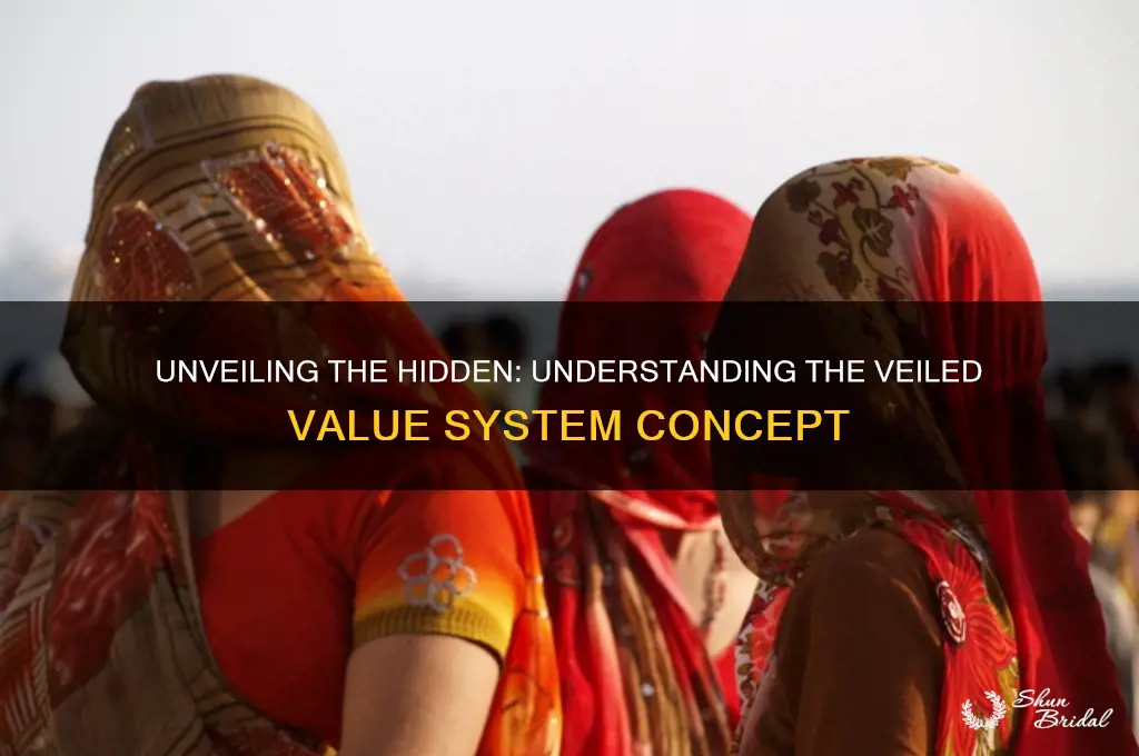 Unveiling The Hidden: Understanding The Veiled Value System Concept ...