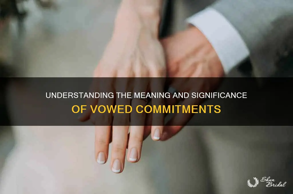 Understanding The Meaning And Significance Of Vowed Commitments ...