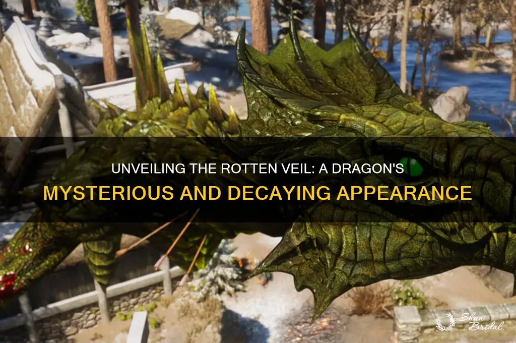 Unveiling The Rotten Veil: A Dragon's Mysterious And Decaying ...