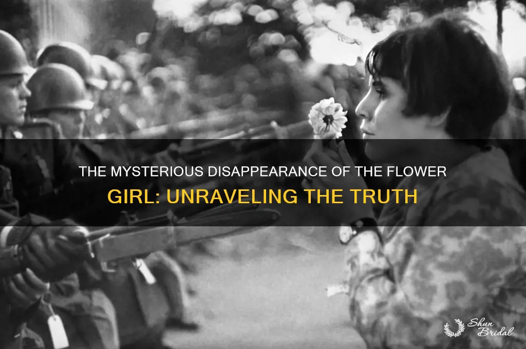 The Mysterious Disappearance Of The Flower Girl: Unraveling The Truth ...