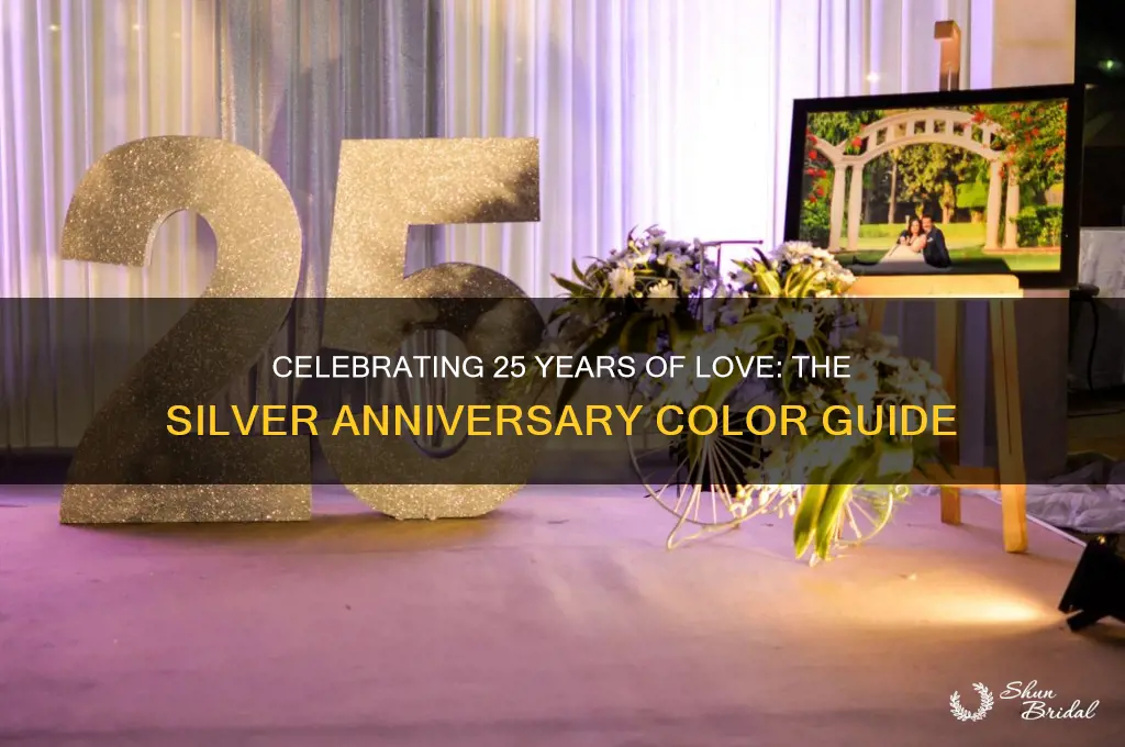 Celebrating 25 Years Of Love: The Silver Anniversary Color Guide ...