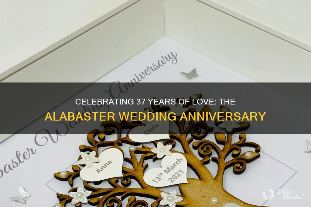 Celebrating 37 Years Of Love: The Alabaster Wedding Anniversary ...